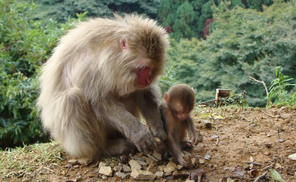 All Stories by Chris Woolston - The Atlantic