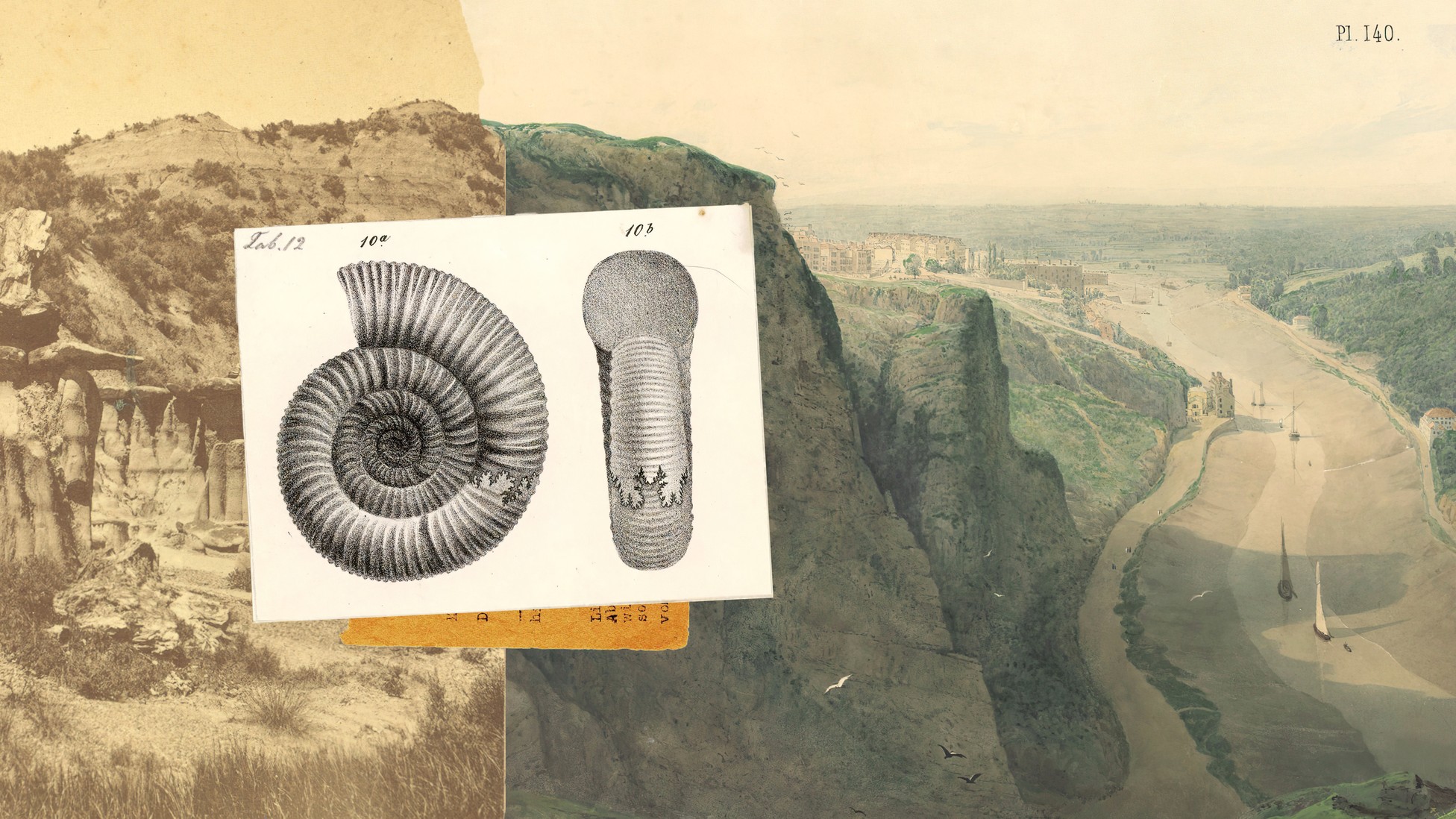 The Awkward Truth About Extinction - The Atlantic