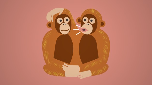 Animalism - The Atlantic