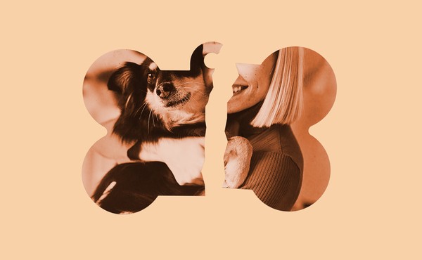 Social Media The Atlantic