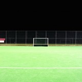 Doriane Coleman, The Atlantic