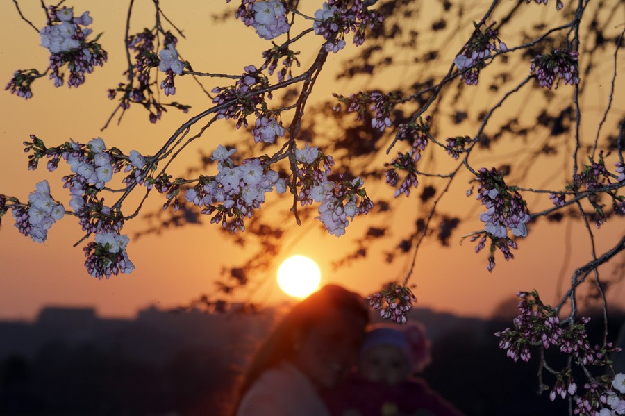 Signs of Spring - The Atlantic