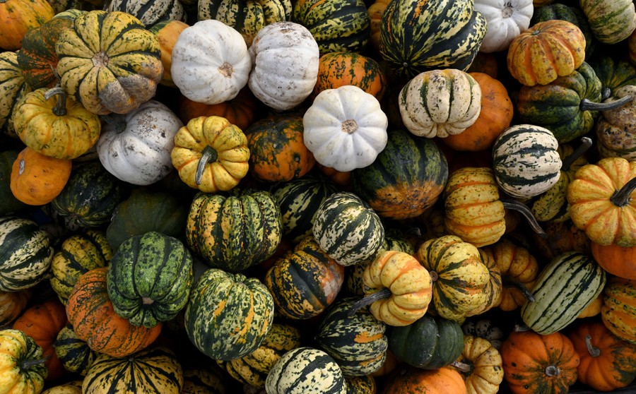 Fall Is in the Air: Images of the Season - The Atlantic