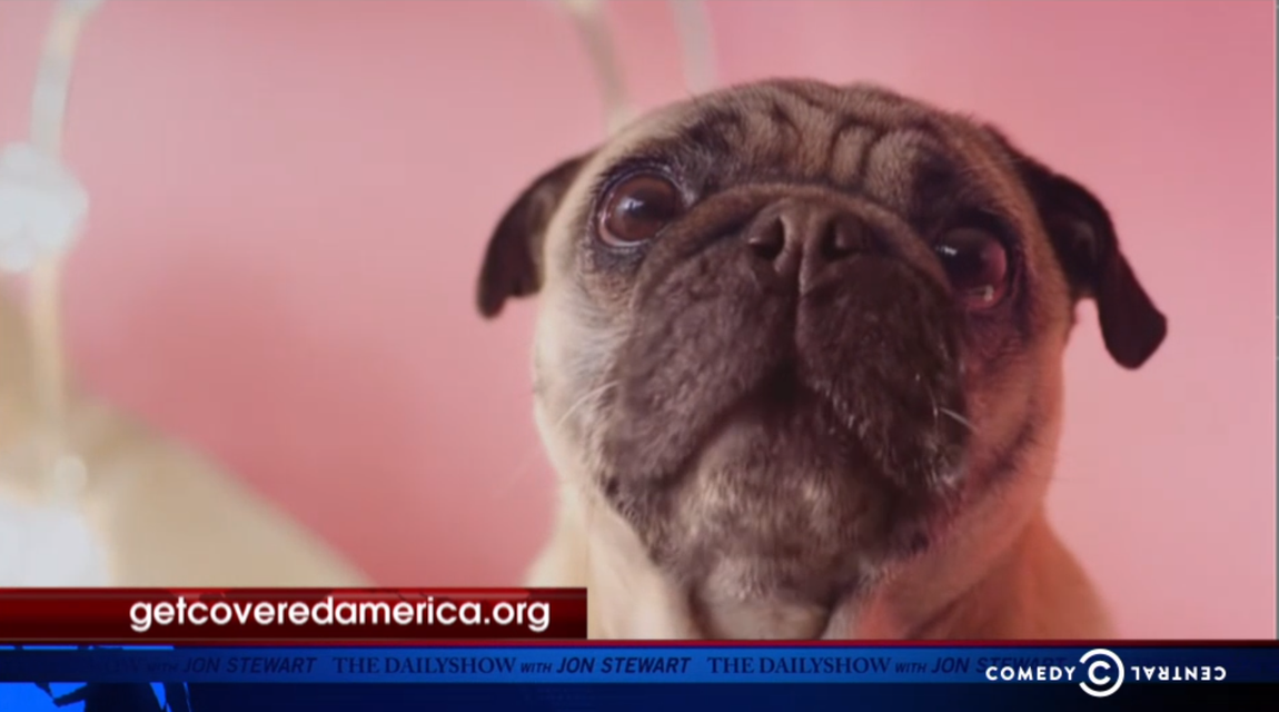 Jon Stewart Explains How Obamacare Hit Its Goal Despite Puppy Abortion ...