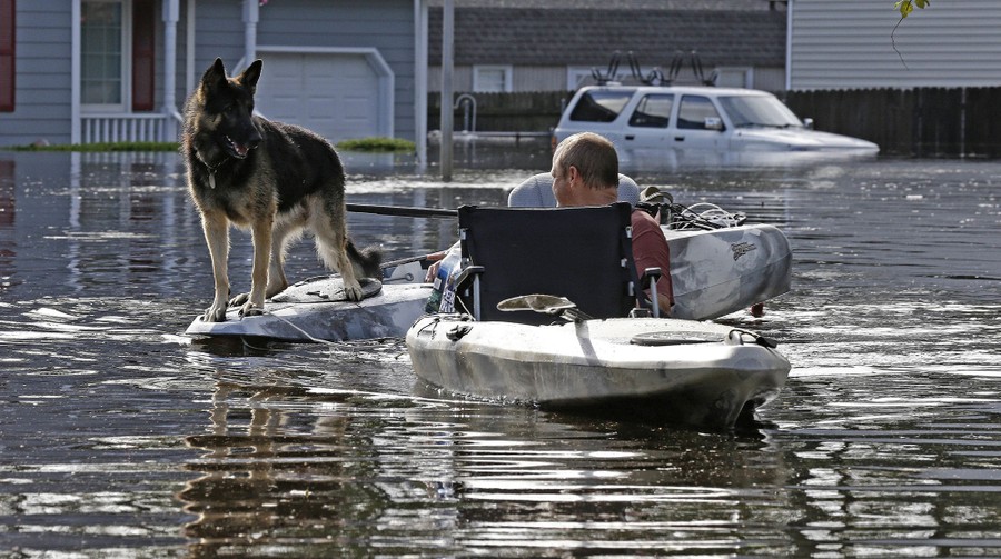 Hurricane Florence: Pet Rescues in Photos - The Atlantic