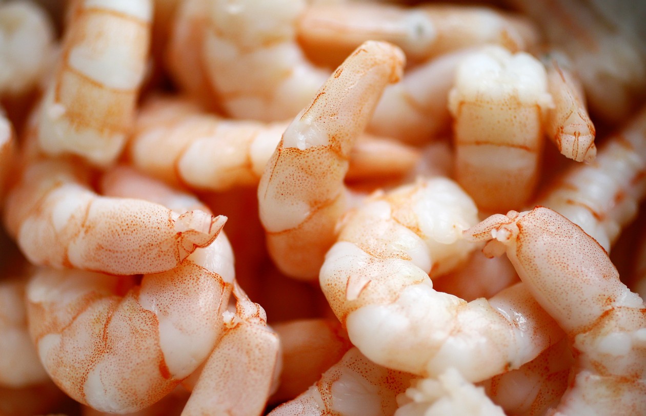 New Wave Foods' Lab-Grown Shrimp and the Abusive Shrimping Industry ...