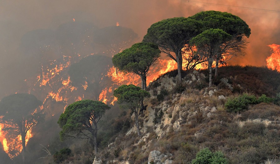 Wildfires Across Southern Europe - The Atlantic