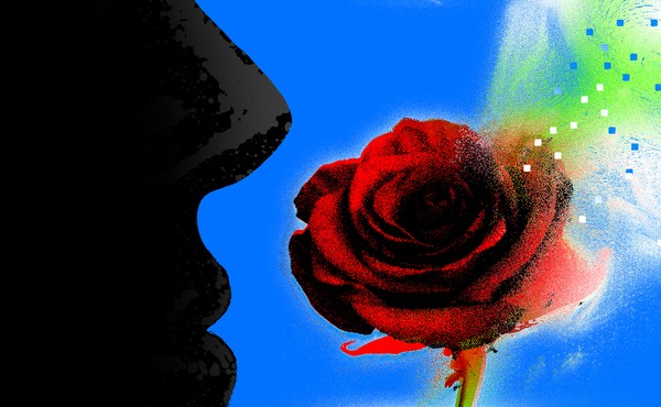 All Stories by Franklin Foer - The Atlantic