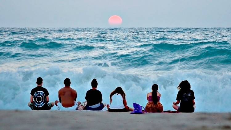 What a Happy Cell Looks Like - The Atlantic