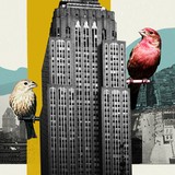 Emily Voigt, The Atlantic