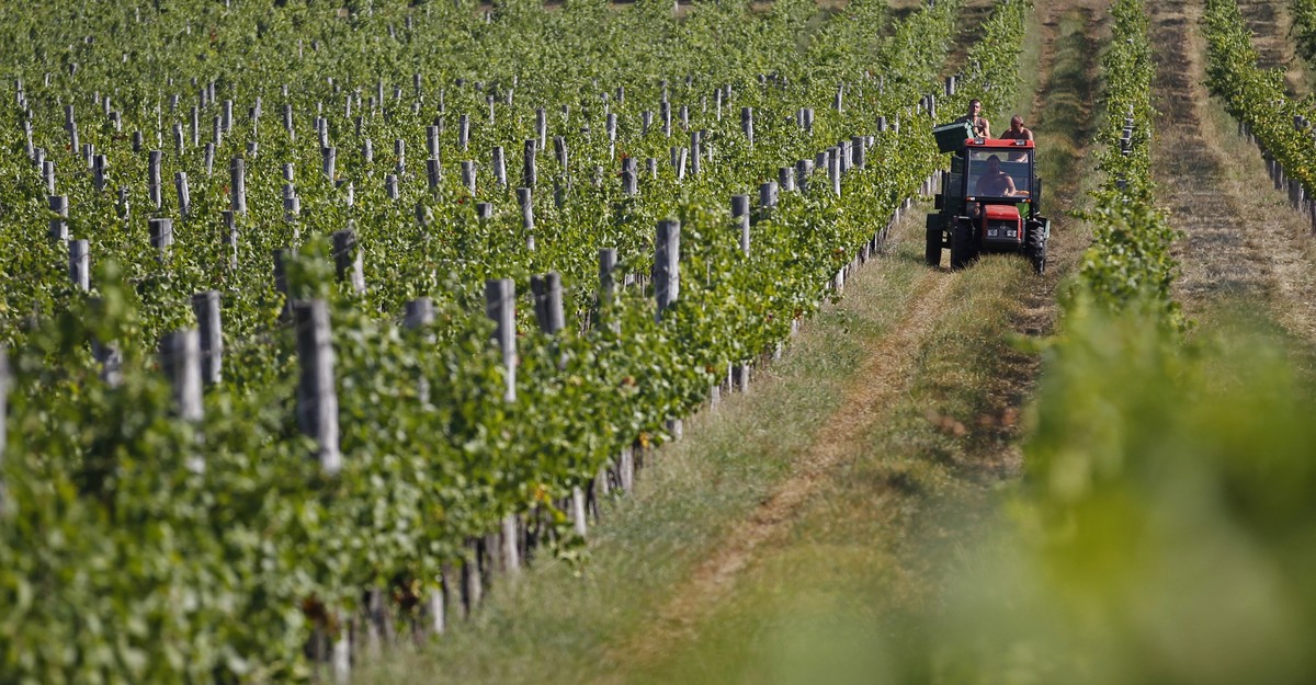 Planning for Rural America's Economic Future - The Atlantic