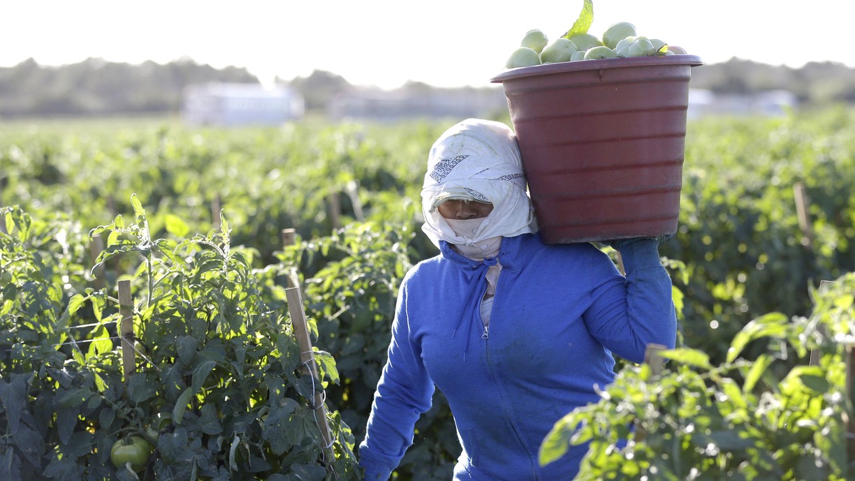 The Agricultural Industry Has a Major Sexual-Harassment Problem - The ...