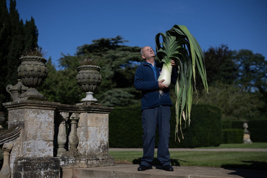 Photos of the Week: Moon Boats, River Waves, Heavy Leek - The Atlantic