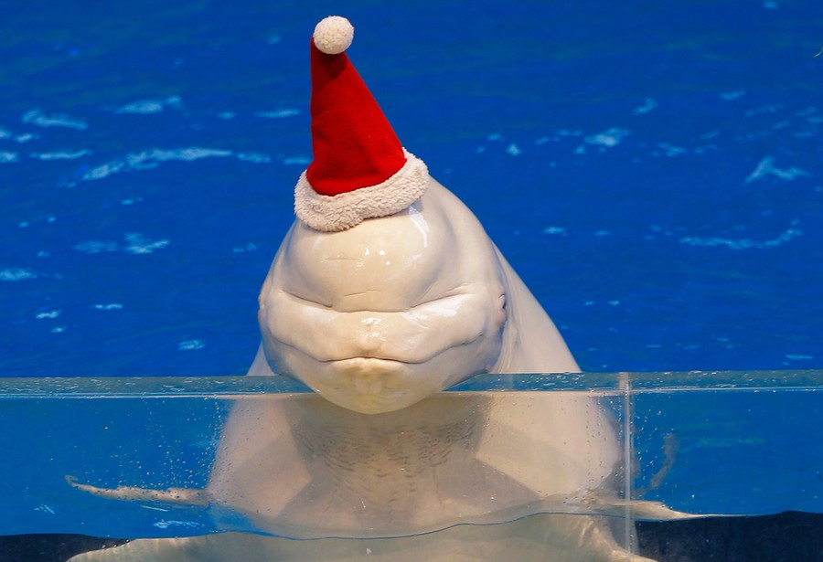 Santa Claus Is Coming to Town - The Atlantic