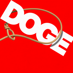 Is DOGE Losing Steam? - The Atlantic