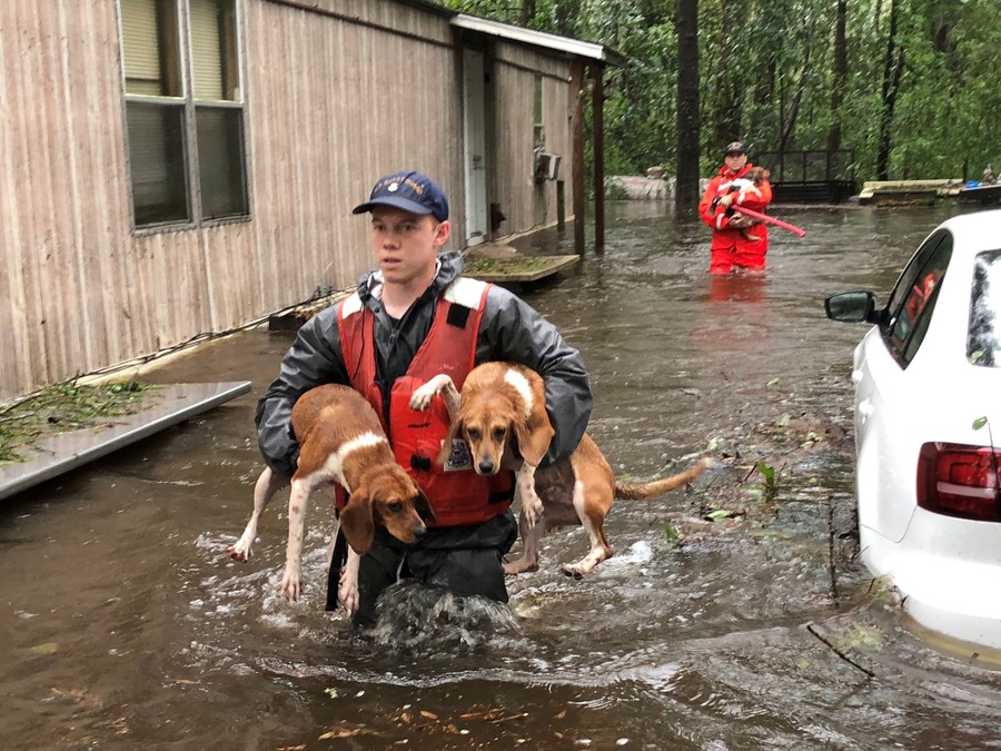Hurricane Florence: Pet Rescues in Photos - The Atlantic