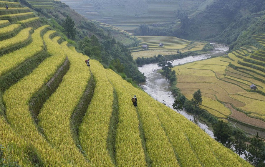 The Beauty of Terraced Fields - The Atlantic