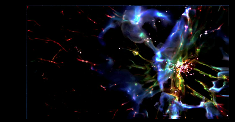 Visualizing The Invisible Dark Matter That Makes Up 85 Of The Universe