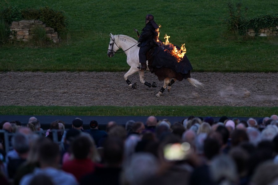 Photos of the Week: Airplane House, Mayfly Swarm, Cool Buffalo - The ...