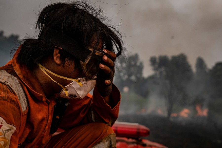 Fires in Indonesia Blanket Islands and Cities in Smog: Photos - The ...