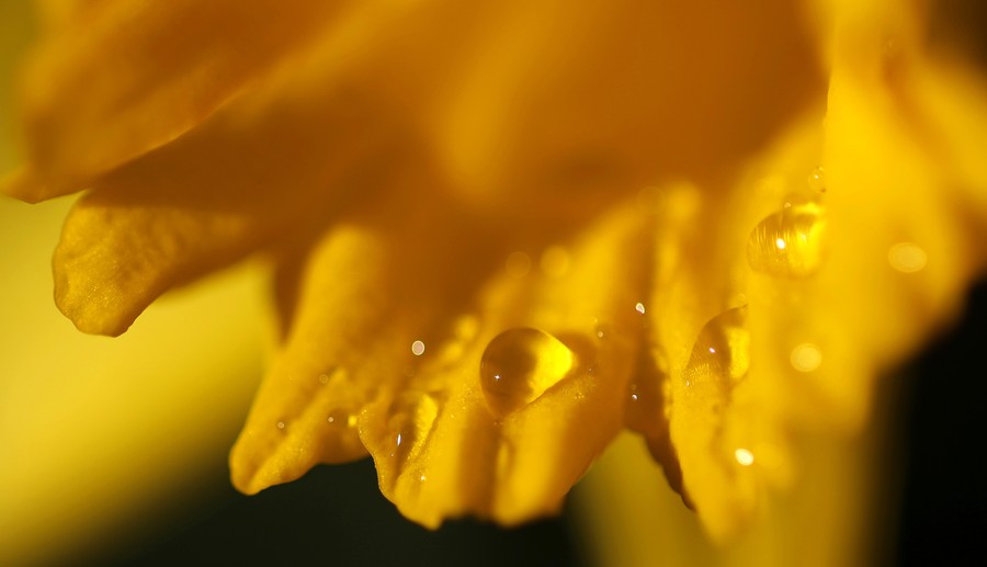 The First Day of Spring - The Atlantic