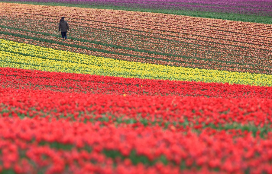 Scenes of Spring - The Atlantic