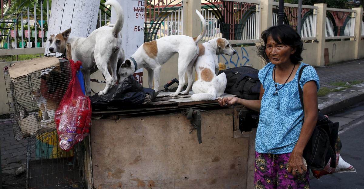 Where Were Dogs First Domesticated? - The Atlantic