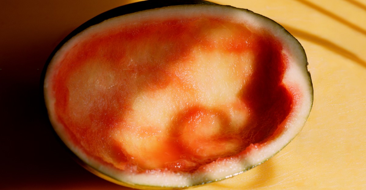 A Poem by Ama Codjoe: 'Why I Left the Garden' - The Atlantic