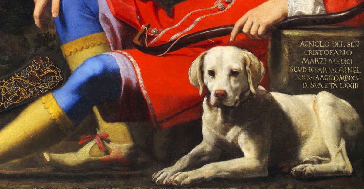 Dogs Are Entering a New Wave of Domestication - The Atlantic