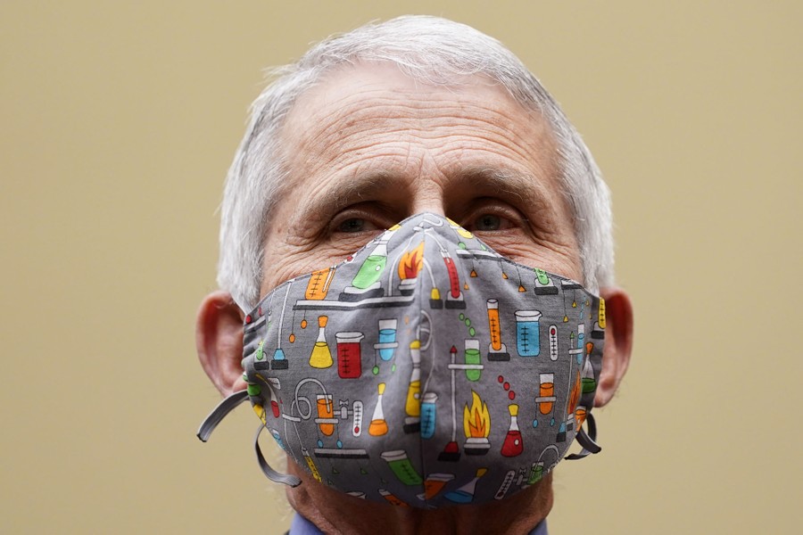 Photos of the Week: Beach Classroom, Giant Eye, Trench Puppies - The ...