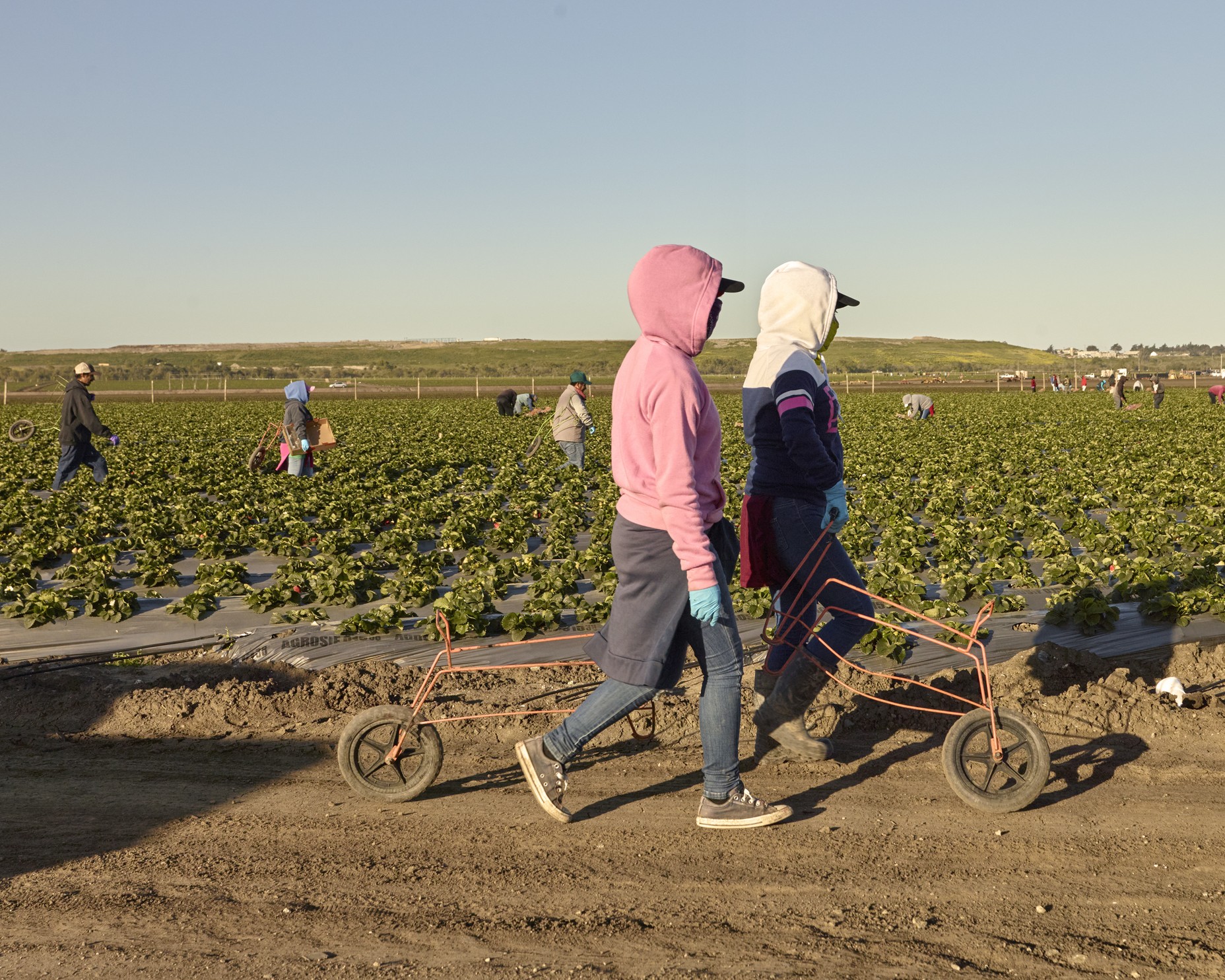 Essential Workers Are Being Treated as Expendable - The Atlantic