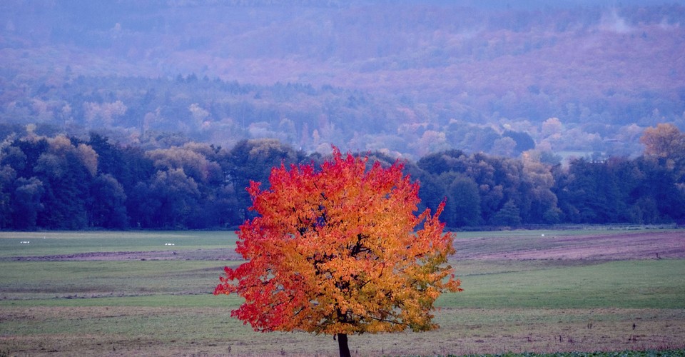 Photos: Autumn Colors and Autumn Chill - The Atlantic