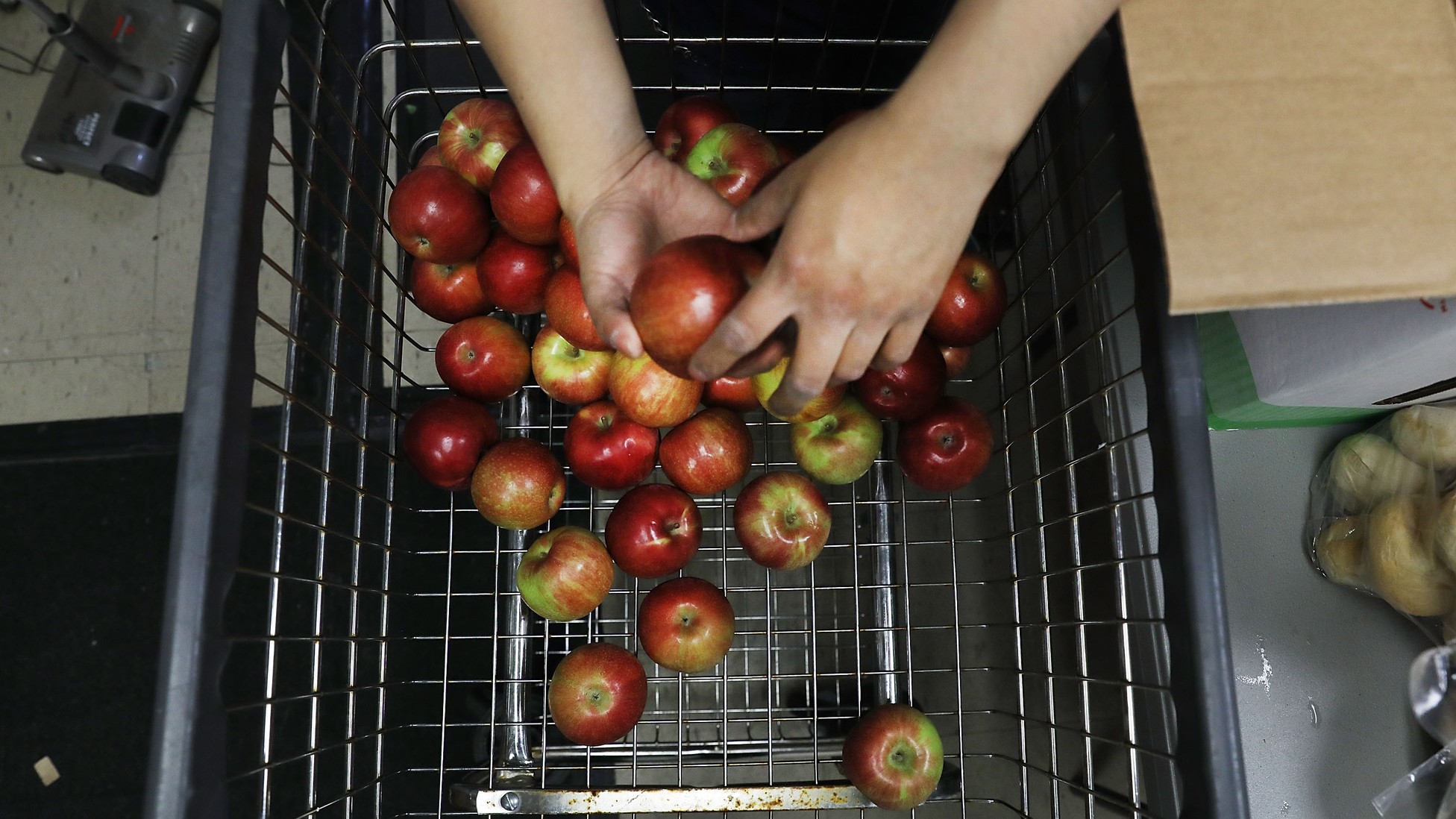 The Trump Administration's SNAP Cuts Will Hurt Families - The Atlantic