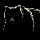 Joe Fassler, The Atlantic