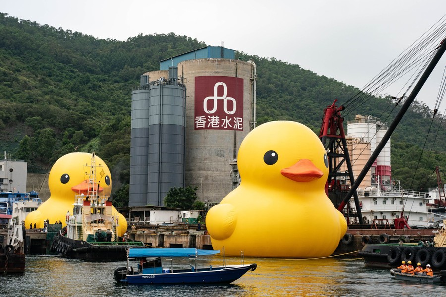 Photos of the Week: Double Ducks, Thirsty Monkey, Island Cathedral ...