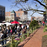 Ryan Streeter, The Atlantic