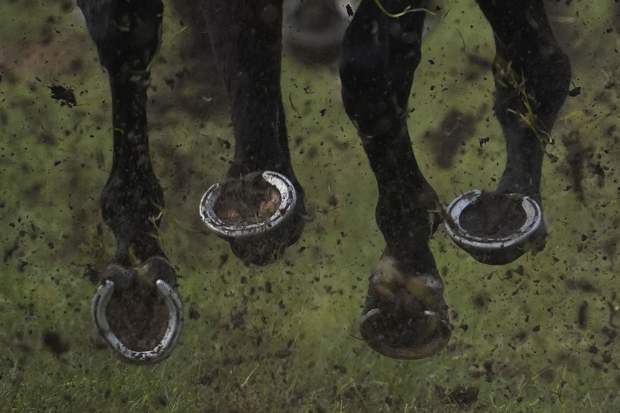 Photos of the Week: Impeachment Vote, Surfing Santa, Flying Hooves ...