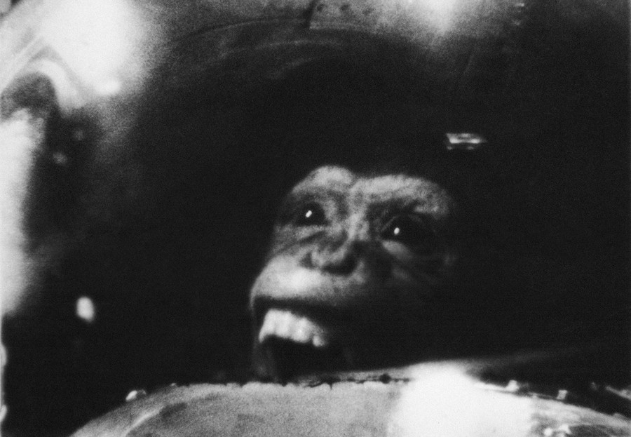 50 Years Ago: The World in 1961 - The Atlantic