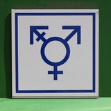 Giulia Heyward, The Atlantic