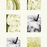 Alexandra Frost, The Atlantic