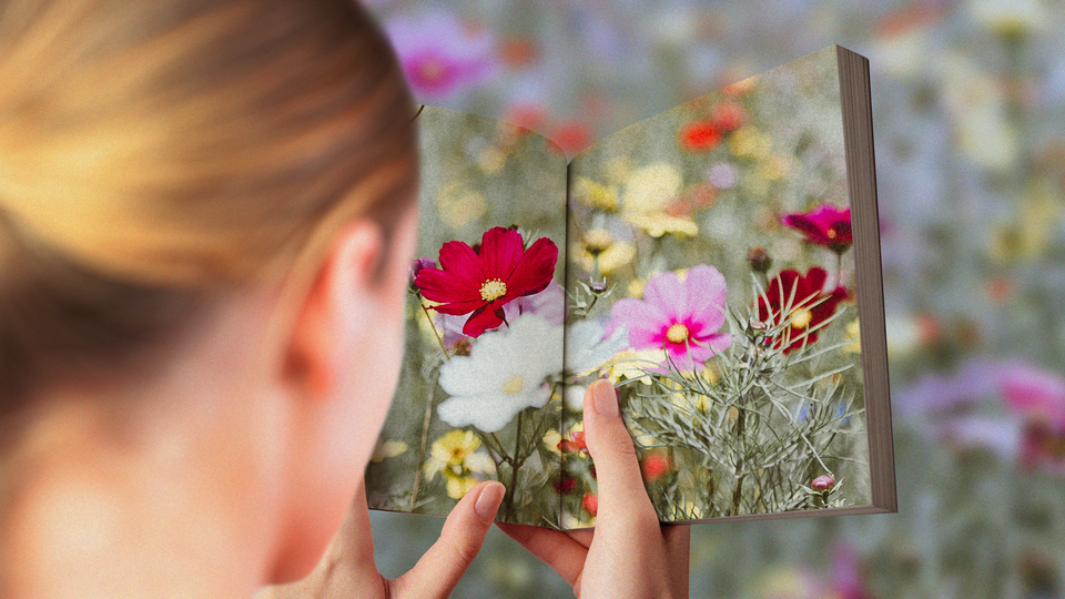 I Was Wrong About the Death of the Book - The Atlantic