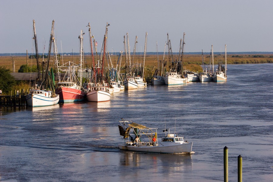 Georgia: Images of the Peach State - The Atlantic