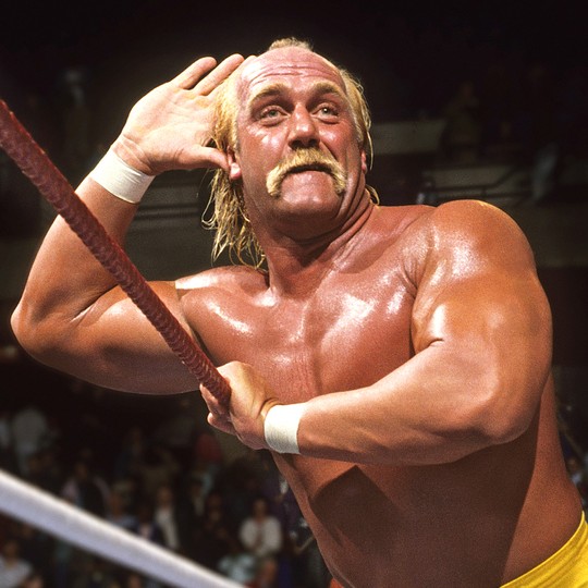 hulk hogan article