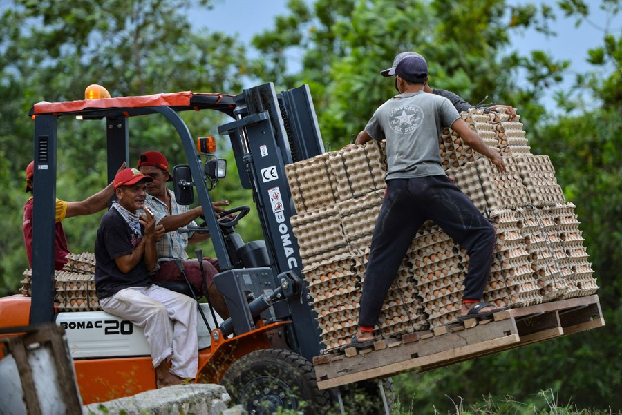 Photos: The Essential Work of Farmers - The Atlantic