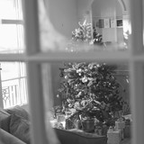 Mikala Jamison, The Atlantic