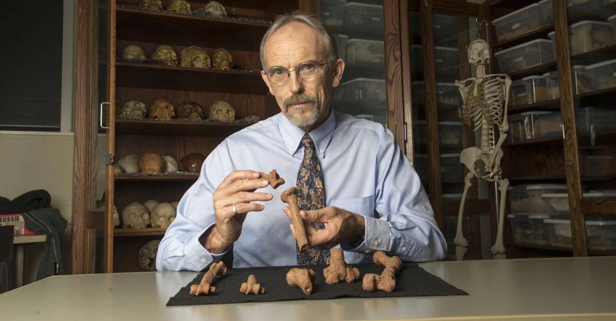 What Killed the World’s Most Famous Fossil? - The Atlantic
