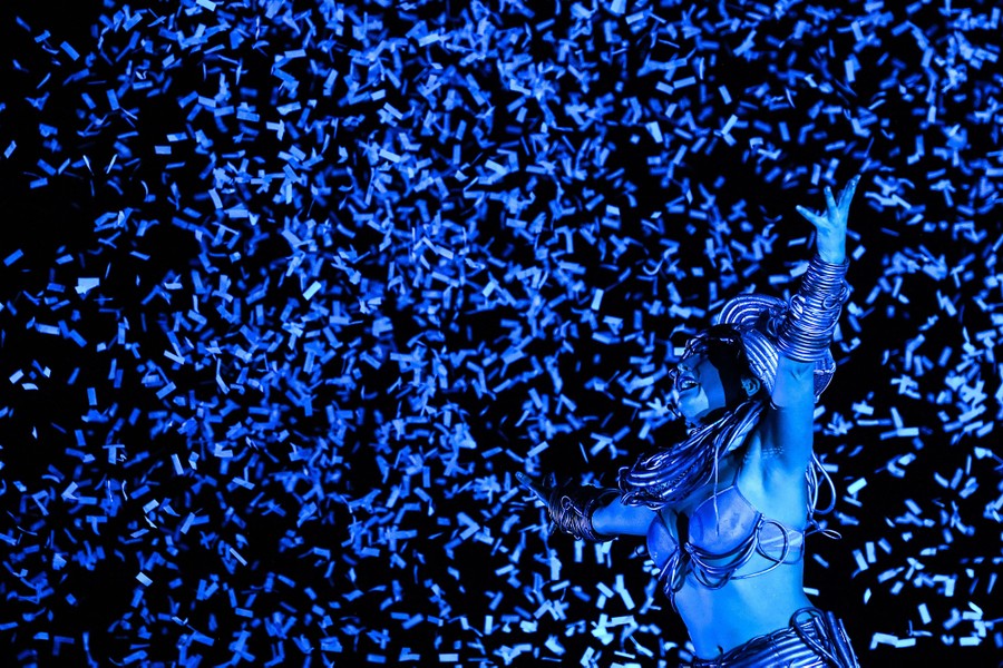 Photos of the Week: Firefly Forest, Husky Club, Turnip Toss - The Atlantic