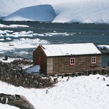 Leah Feiger, The Atlantic