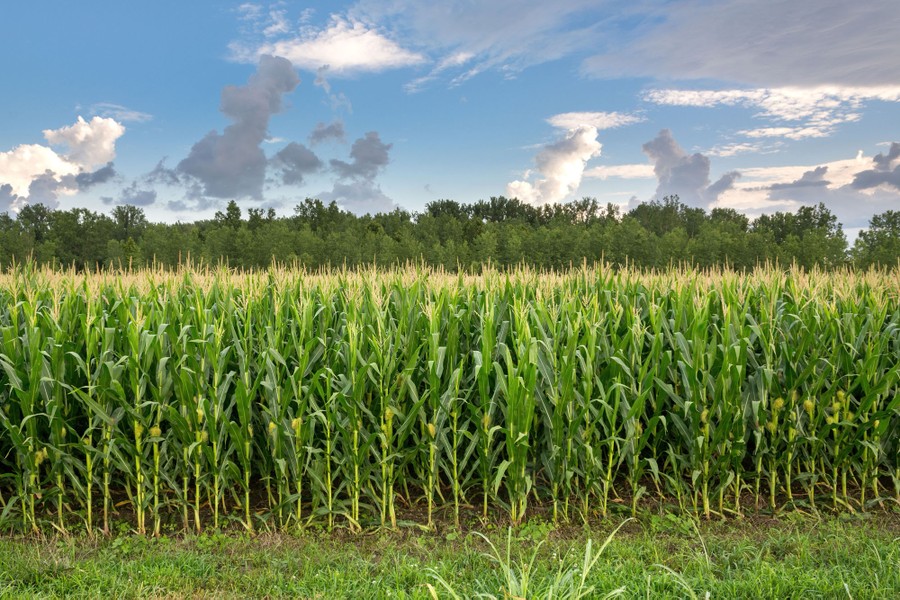 Missouri: Images of the Show Me State - The Atlantic