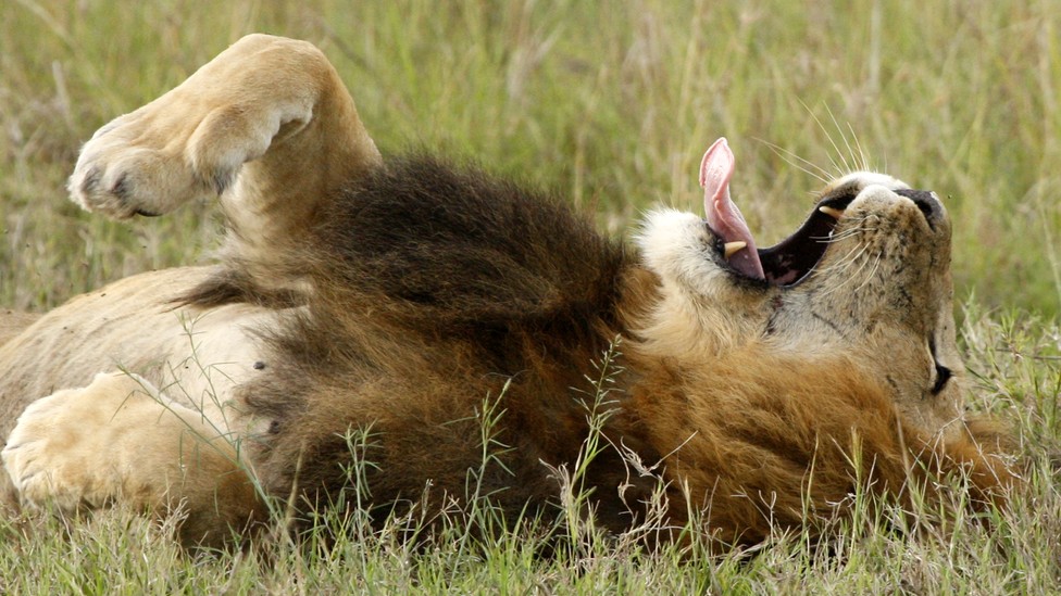 'Grit' Isn't That Great, Research Shows - The Atlantic